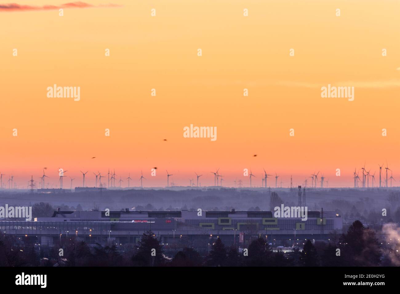 Wien, Vienna: wind turbines in Marchfeld, flying birds, ÖBB and Wiener ...