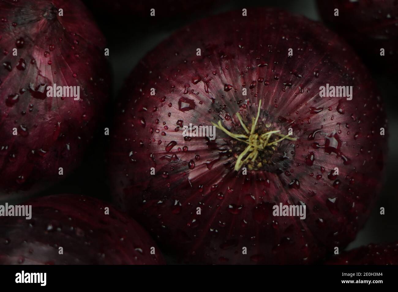 Three sliced red onion hi-res stock photography and images - Alamy