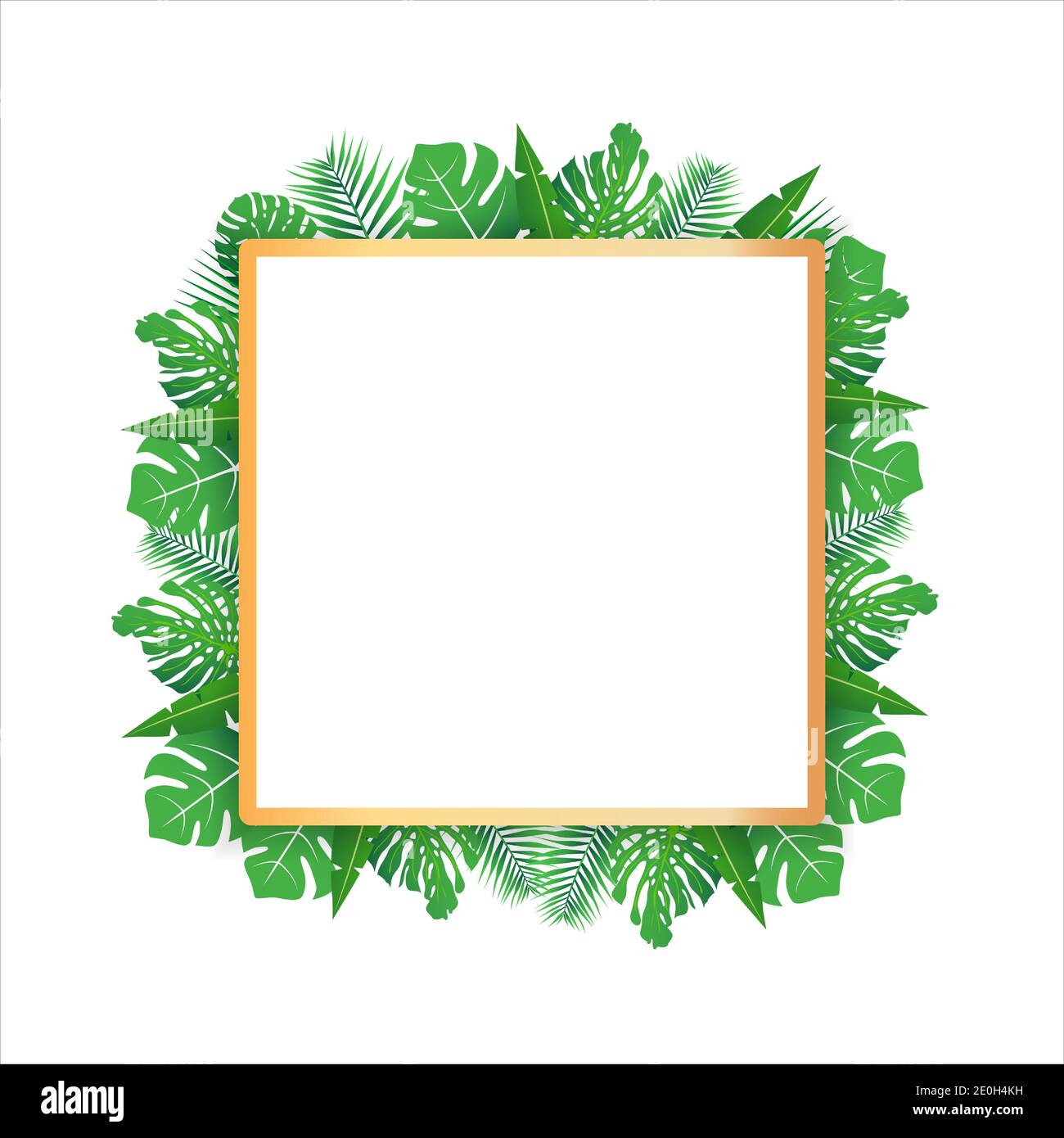 Tropical leaves around a white rectangle box copy space. Bright ...