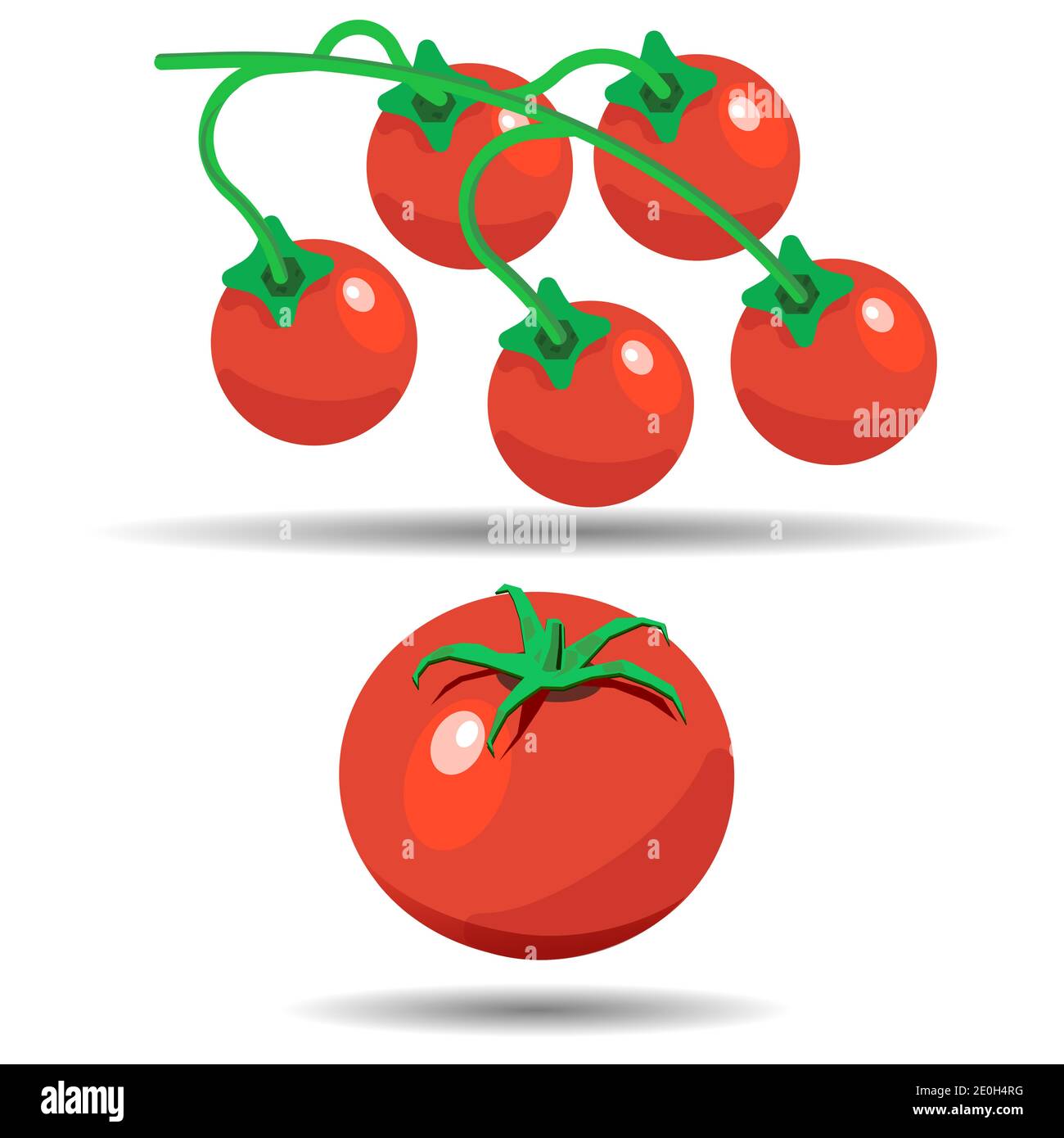Tomato Vector Png