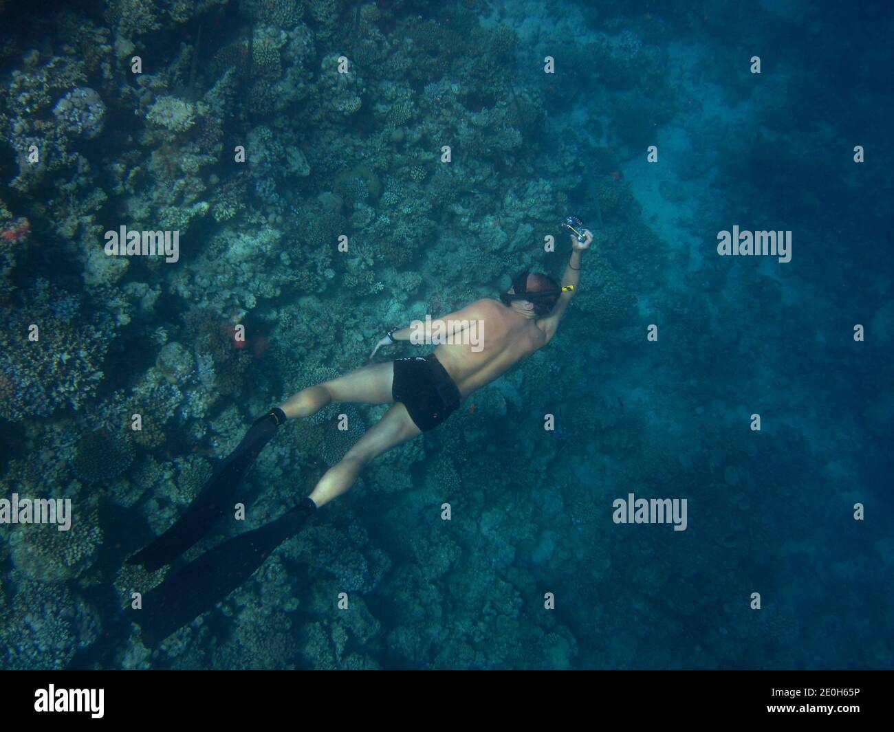 apnea diving with long flowing past coral dips Stock Photo - Alamy