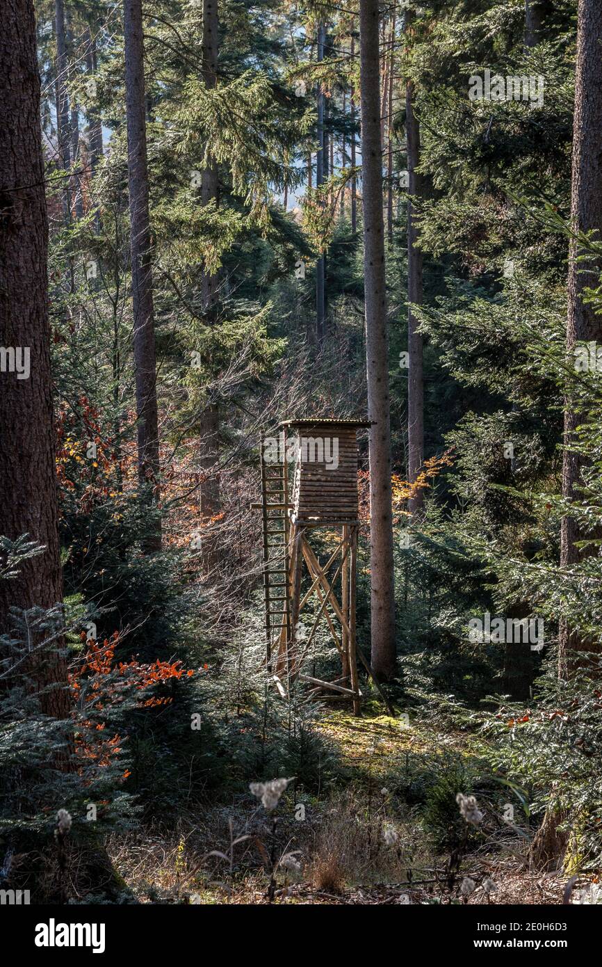Small raised hide for hunting in the middle of the forest Stock Photo ...