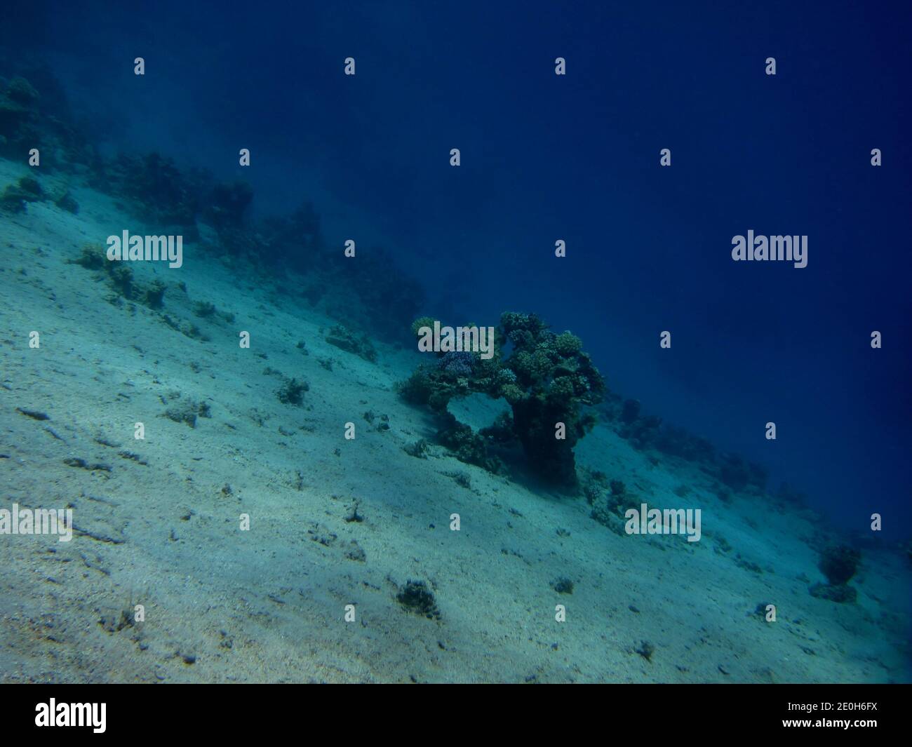 steep sloping seabed in the deep Stock Photo - Alamy