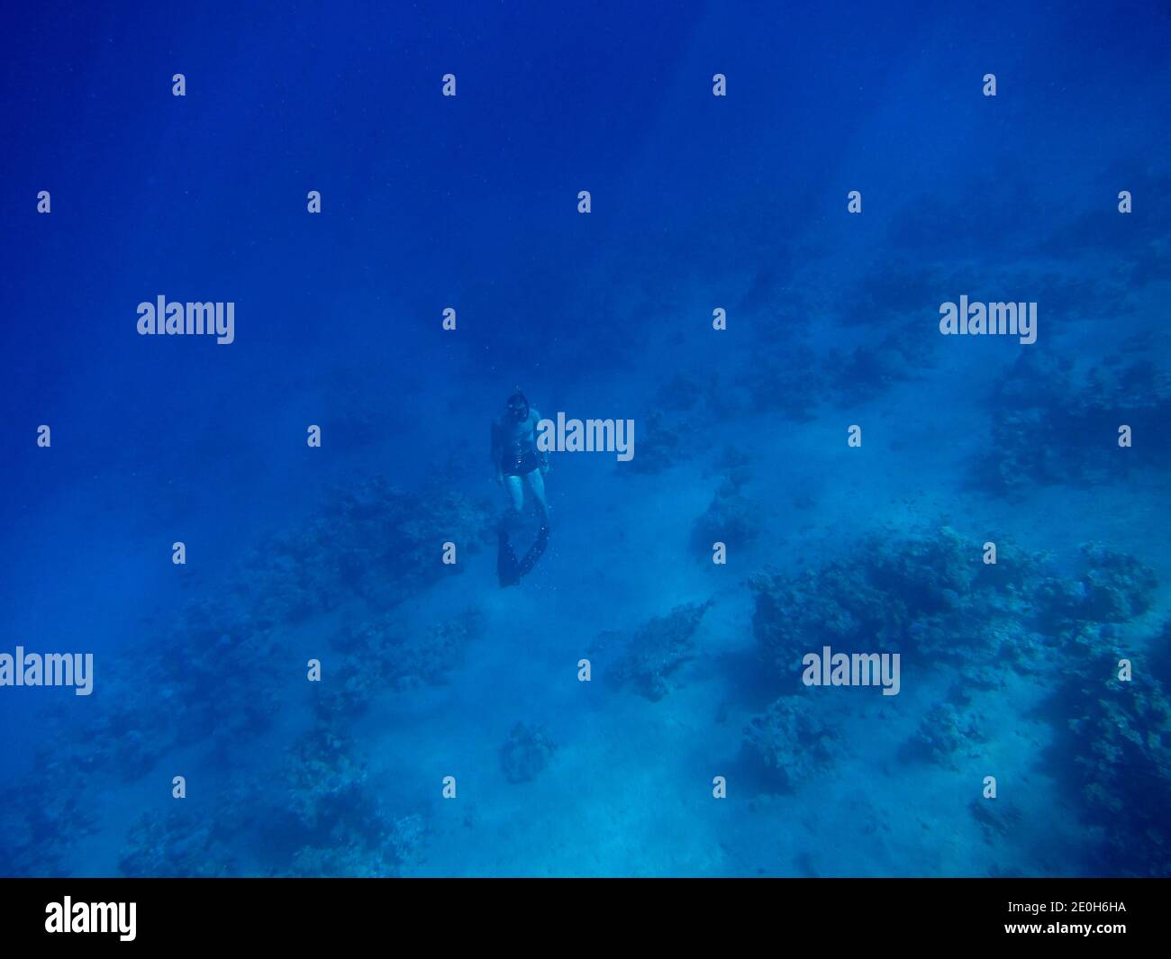 apnea diver free diver in the deep blue water with sun rays Stock Photo ...