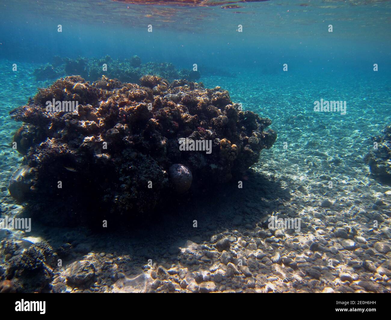 Reflection coral reef on hi-res stock photography and images - Alamy