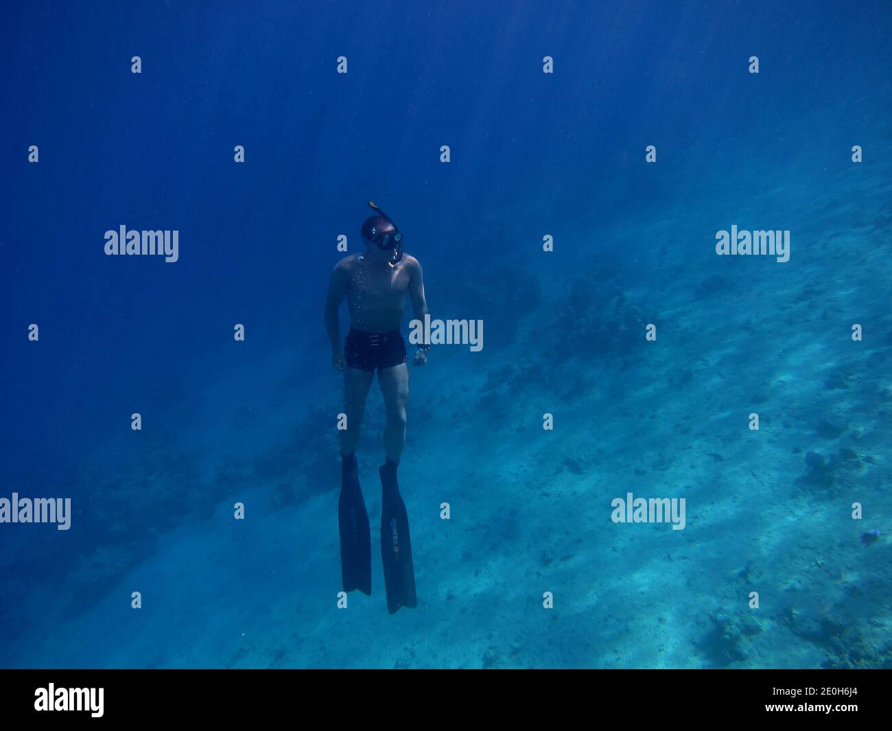 apnea diver free diver in the sea surface with sunbeam Stock Photo - Alamy