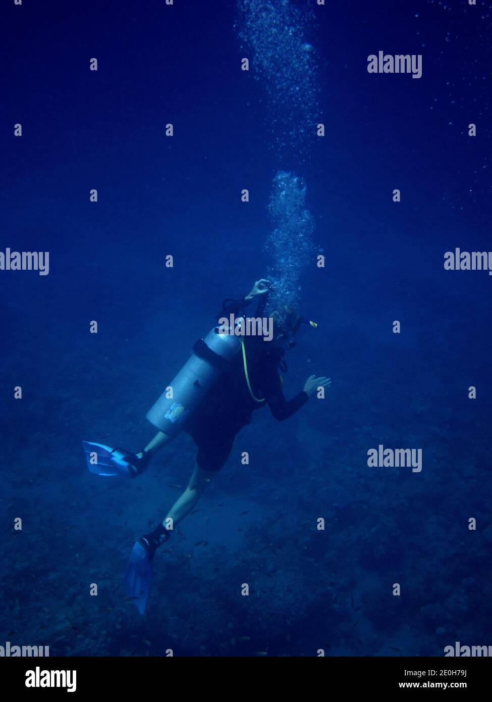 single diver dive in the red sea Stock Photo - Alamy