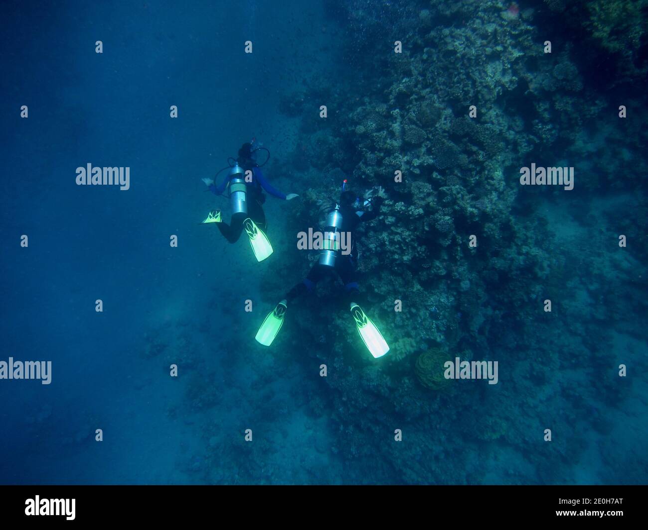 two diver deep below the sea floor in the red sea Stock Photo - Alamy
