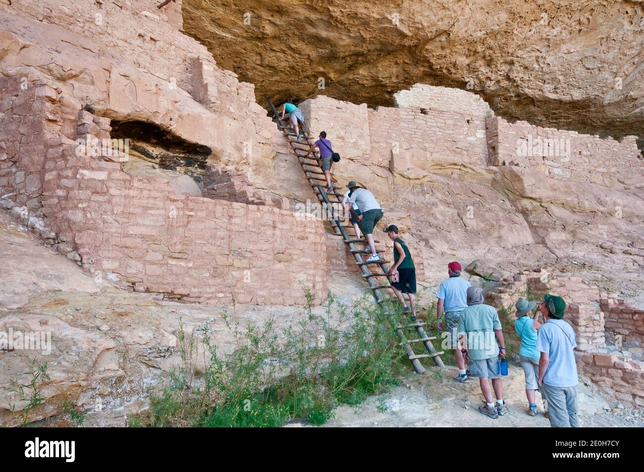 Visitors climbing a ladder at Long House cliff dwelling in alcove at ...