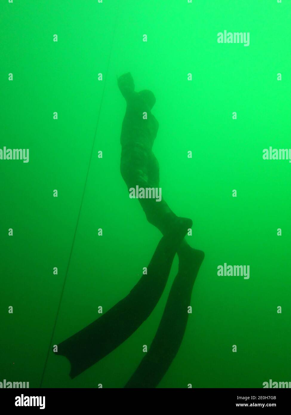 apnea diver or free diver with long fins in the sea Stock Photo - Alamy