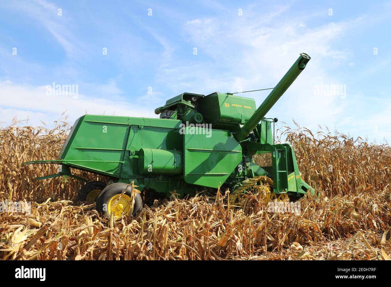 Maize legume field hi-res stock photography and images - Alamy