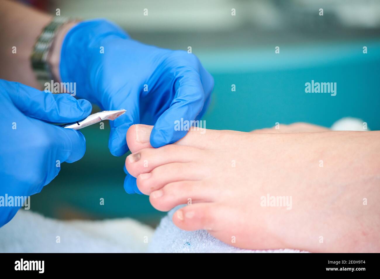 Woman feet receiving pedicure. Beautician doing pedicure. Close up ...