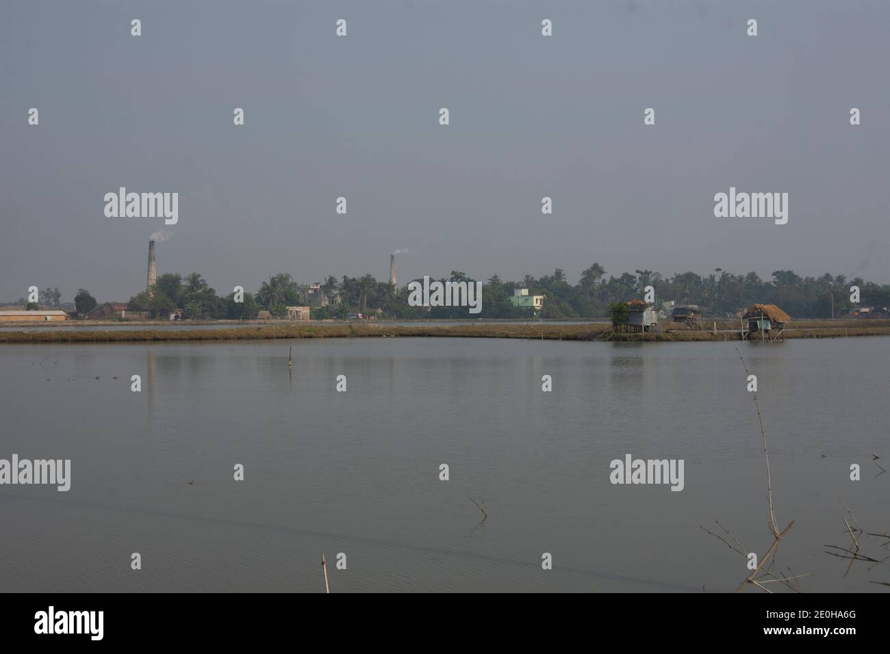prawn cultivation firm at sundarban of west bengal Stock Photo - Alamy