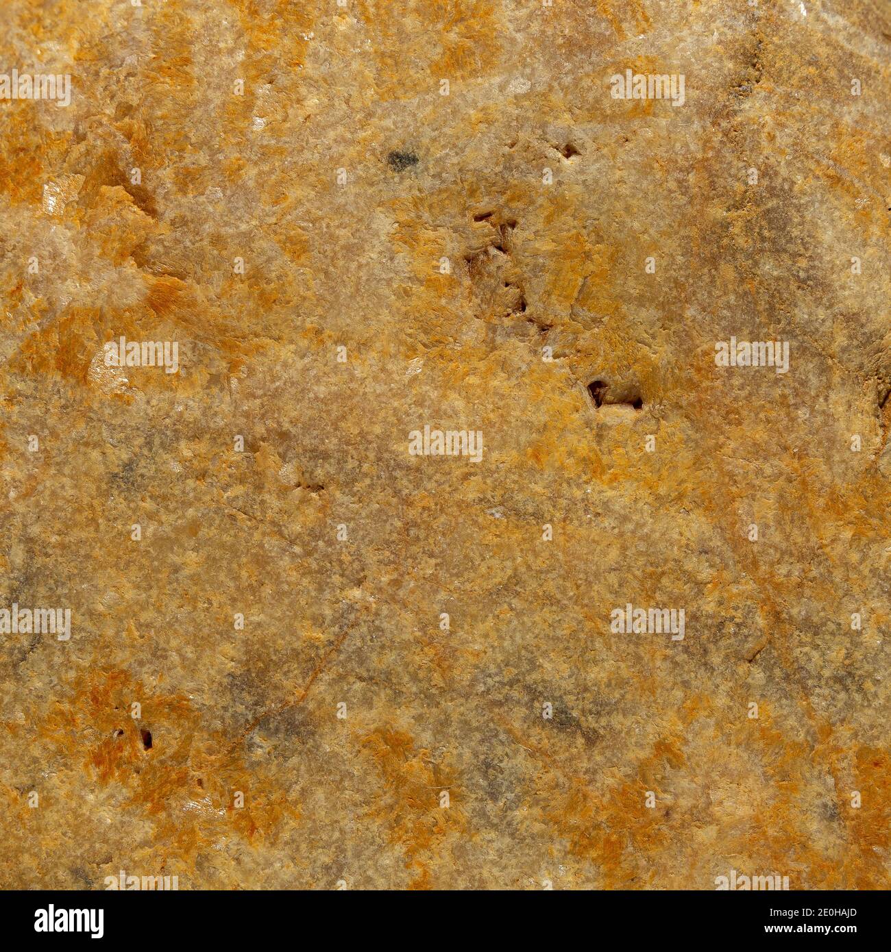 detail of a colorful sea stone, ideal for backgrounds and textures ...