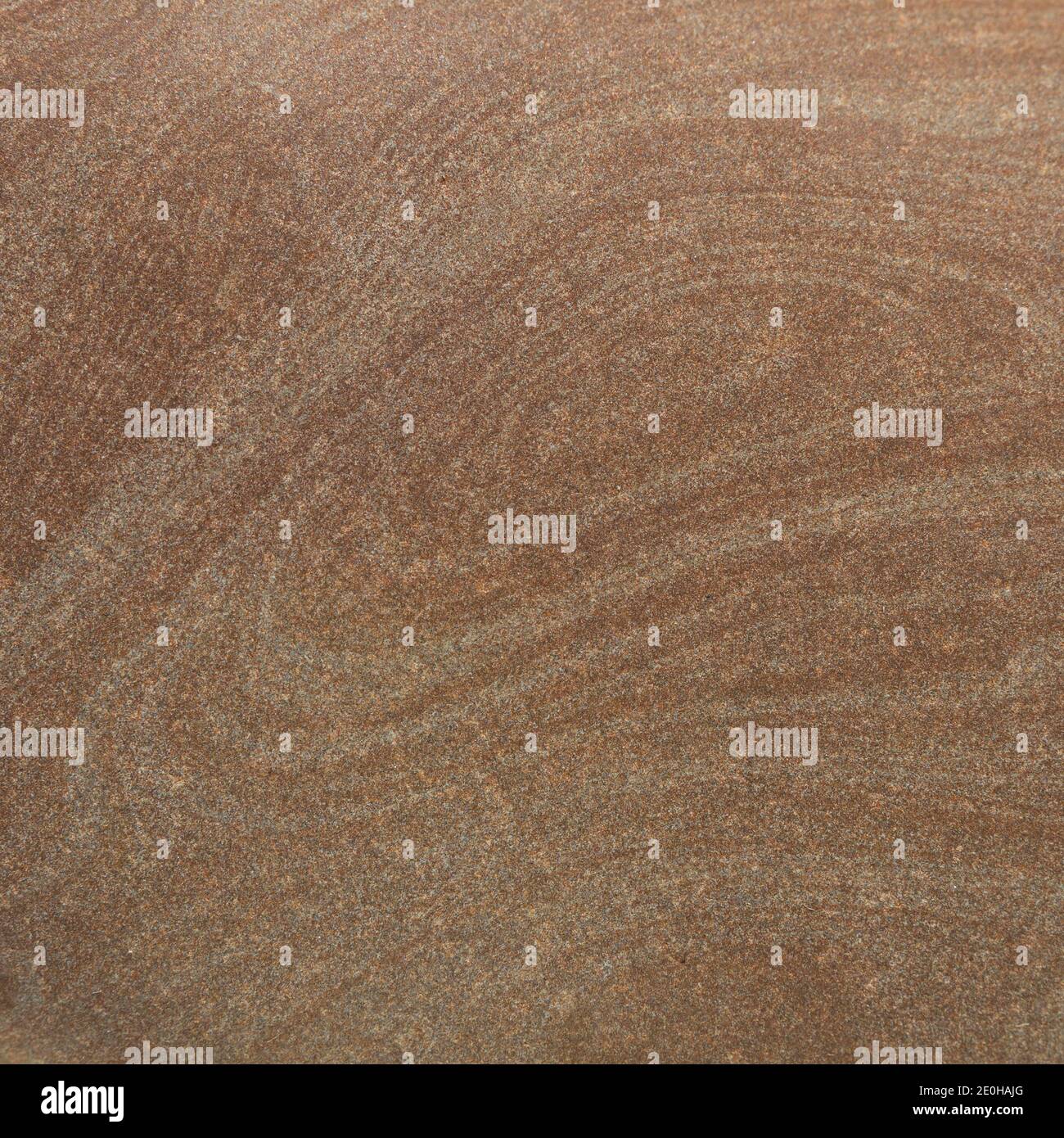 detail of a colorful sea stone, ideal for backgrounds and textures ...