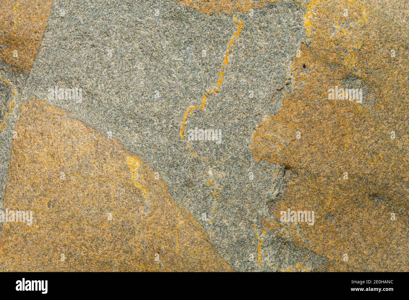 detail of a colorful sea stone, ideal for backgrounds and textures ...