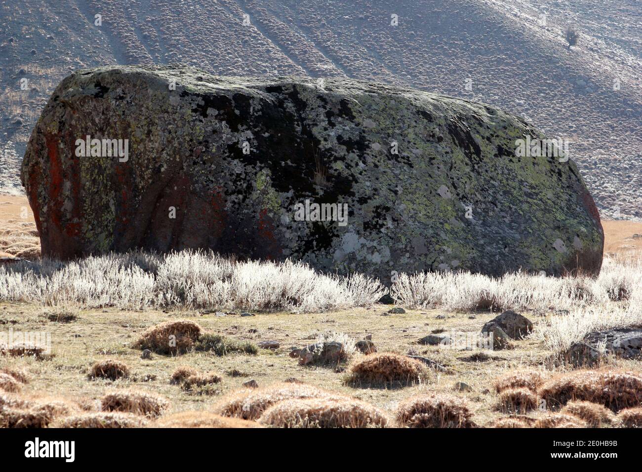 Steppe landscape and big rock. Volcanic trough Stock Photo - Alamy
