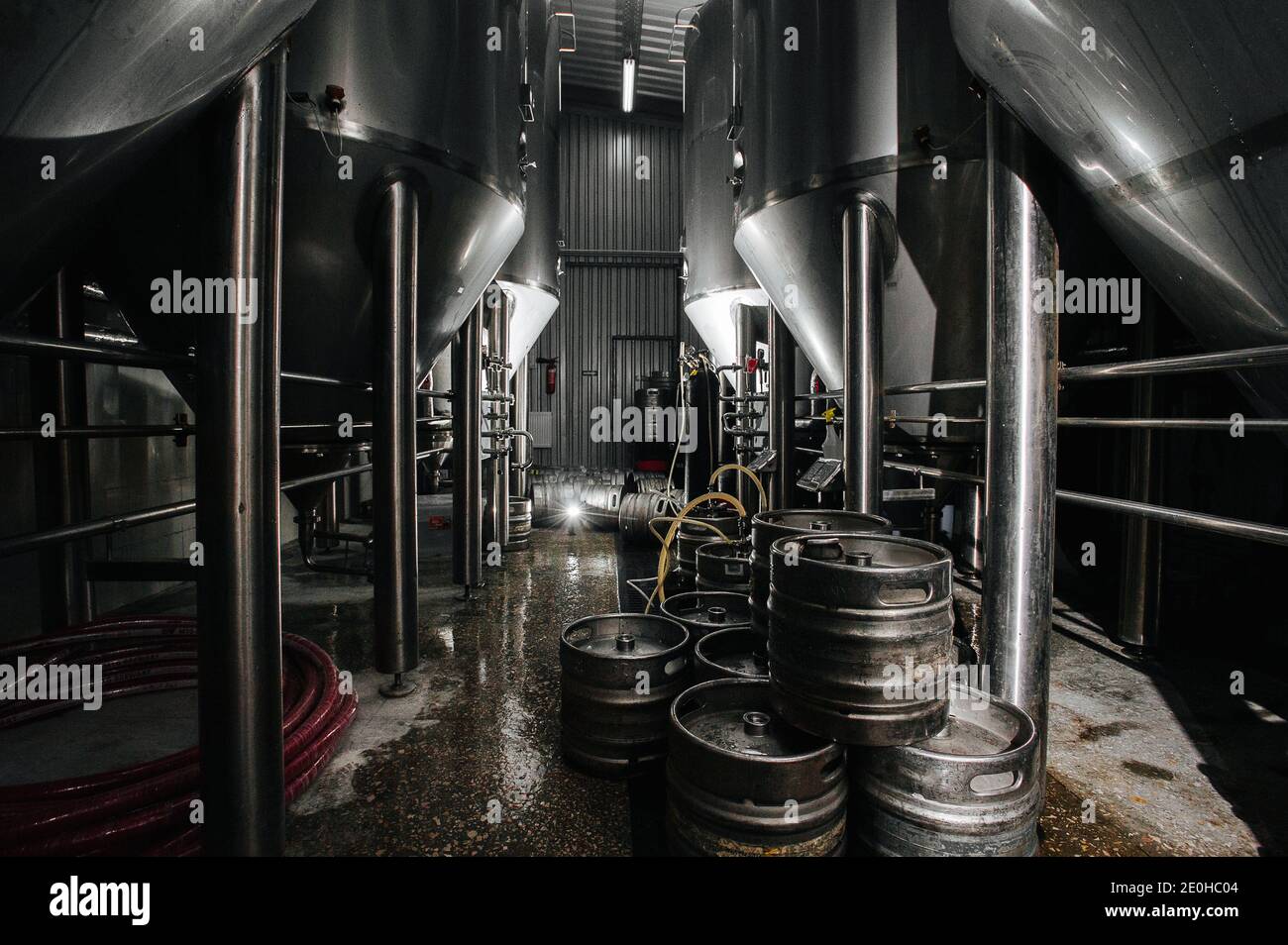The interior of the brewery. Modern beer factory. Rows of steel ...