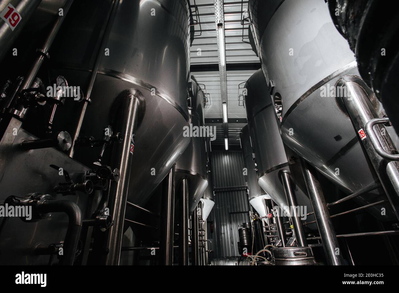 The interior of the brewery. Modern beer factory. Rows of steel ...