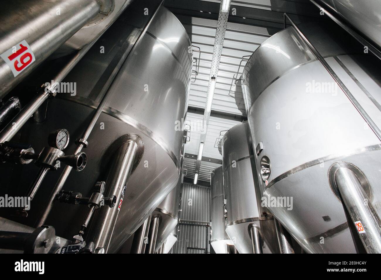 The interior of the brewery. Modern beer factory. Rows of steel ...