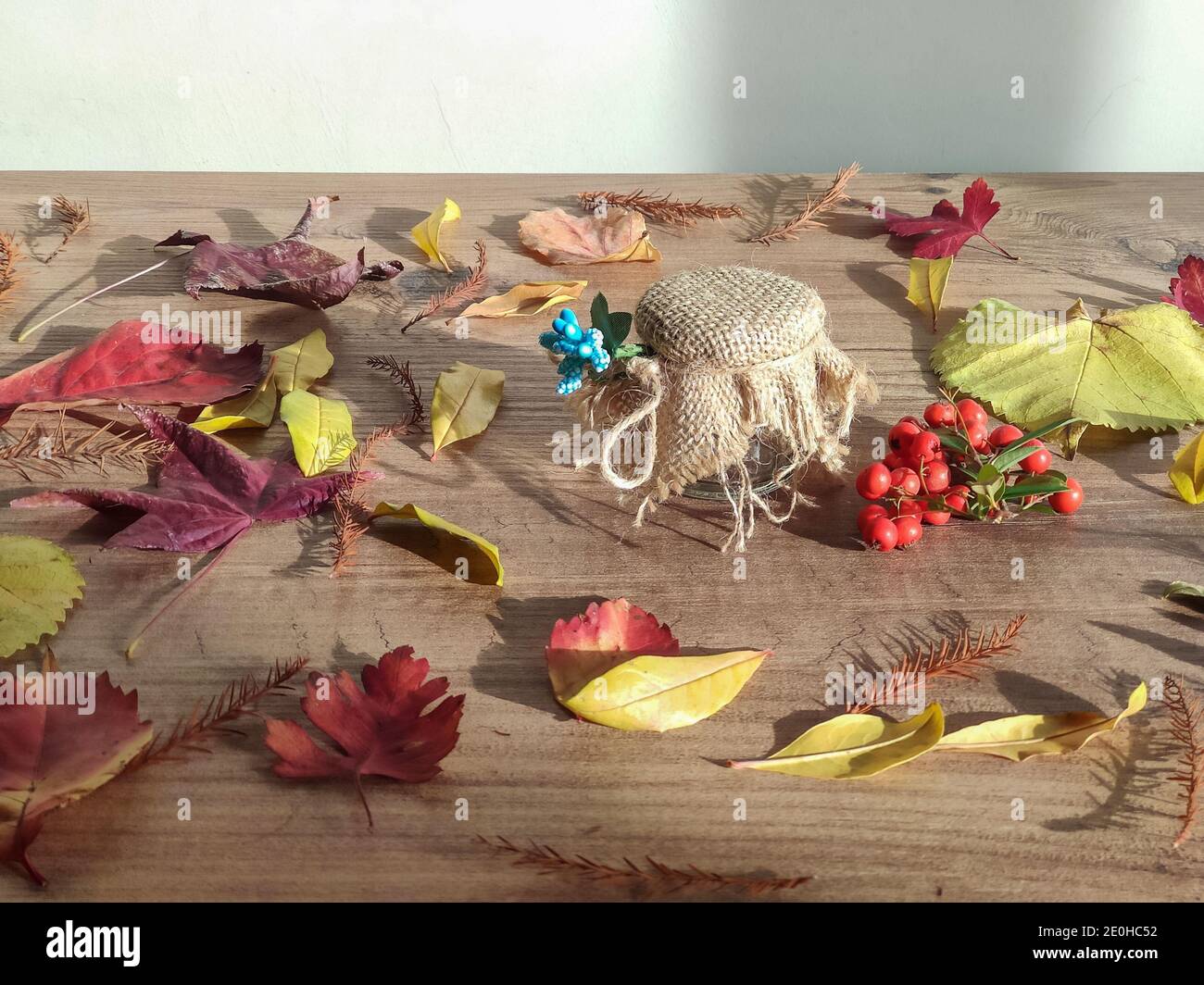 autumn still life with leaves Stock Photo - Alamy