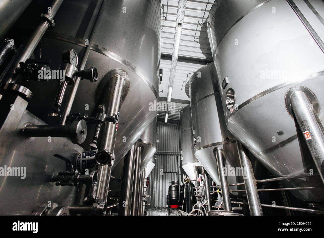 The interior of the brewery. Modern beer factory. Rows of steel ...