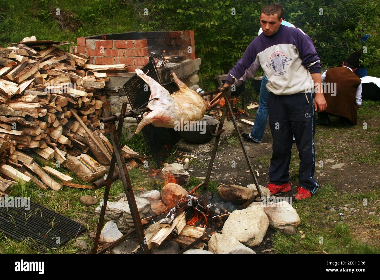 Roasting sheep on a rotating spit over open fire in Romania's ...