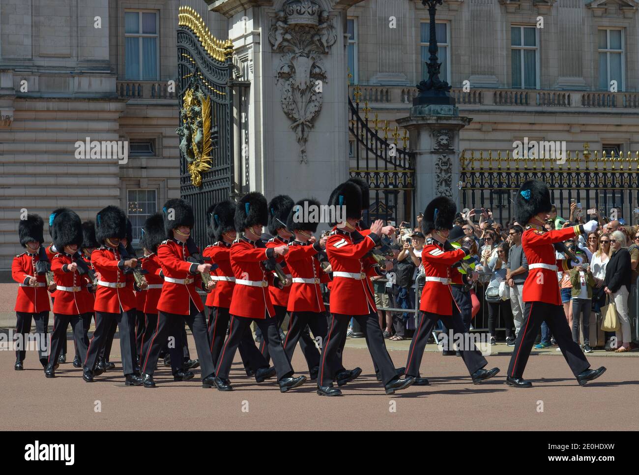 Queen's Guards, Changing of the guards, Buckingham Palace, London, England, Grossbritannien ...
