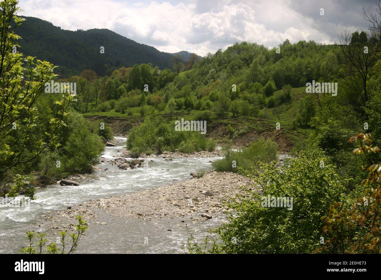 Spring river romania trees water hi-res stock photography and images ...