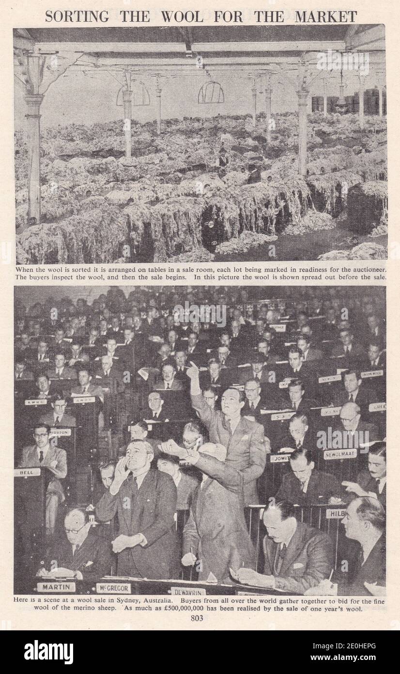 Vintage photos of the manufacturing of wool 1900s - Buying of wool ...