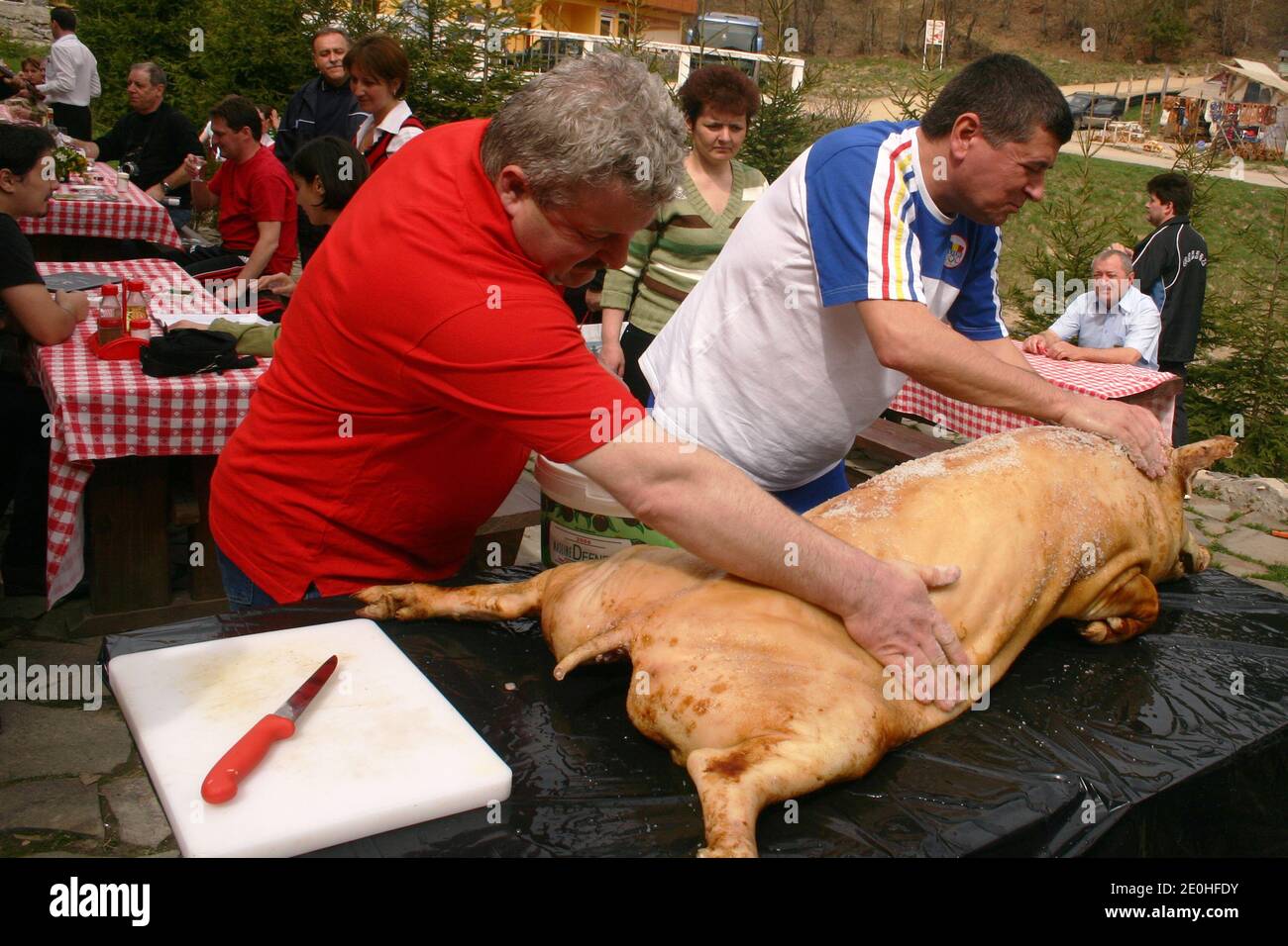 Butchering a pig in Romania's countryside. Pig's skin being rubbed with ...