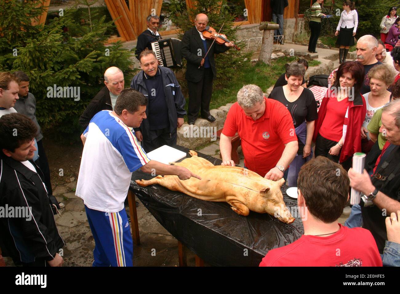 Pig meat cuts hi-res stock photography and images - Alamy