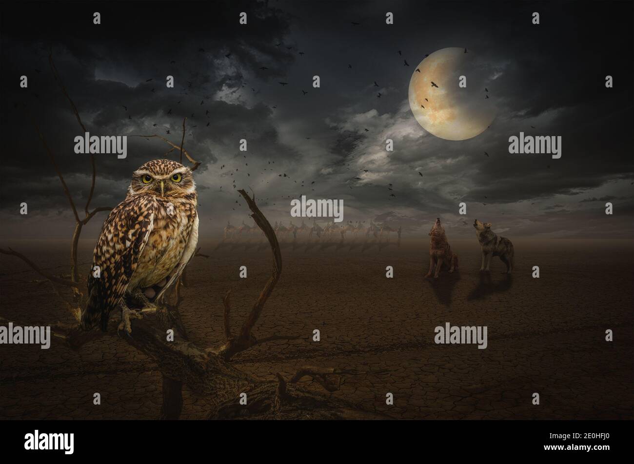 owl on a dead branch in a night steppe, (illustration of a fictional ...