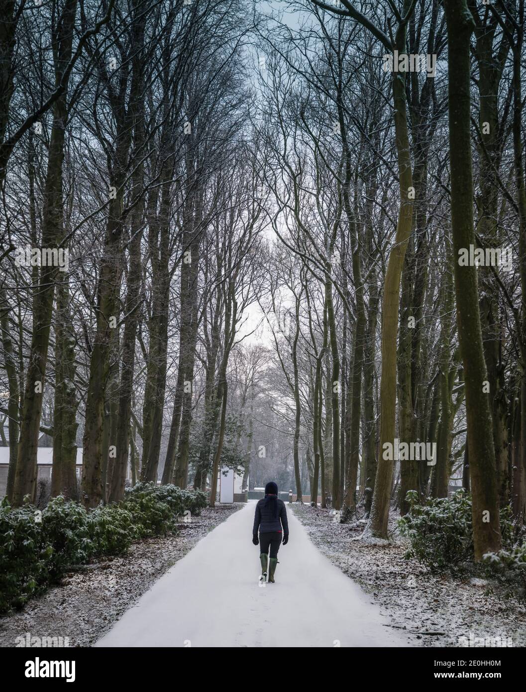 Lone female walking down a driveway in the Ribble Valley, Lancashire ...