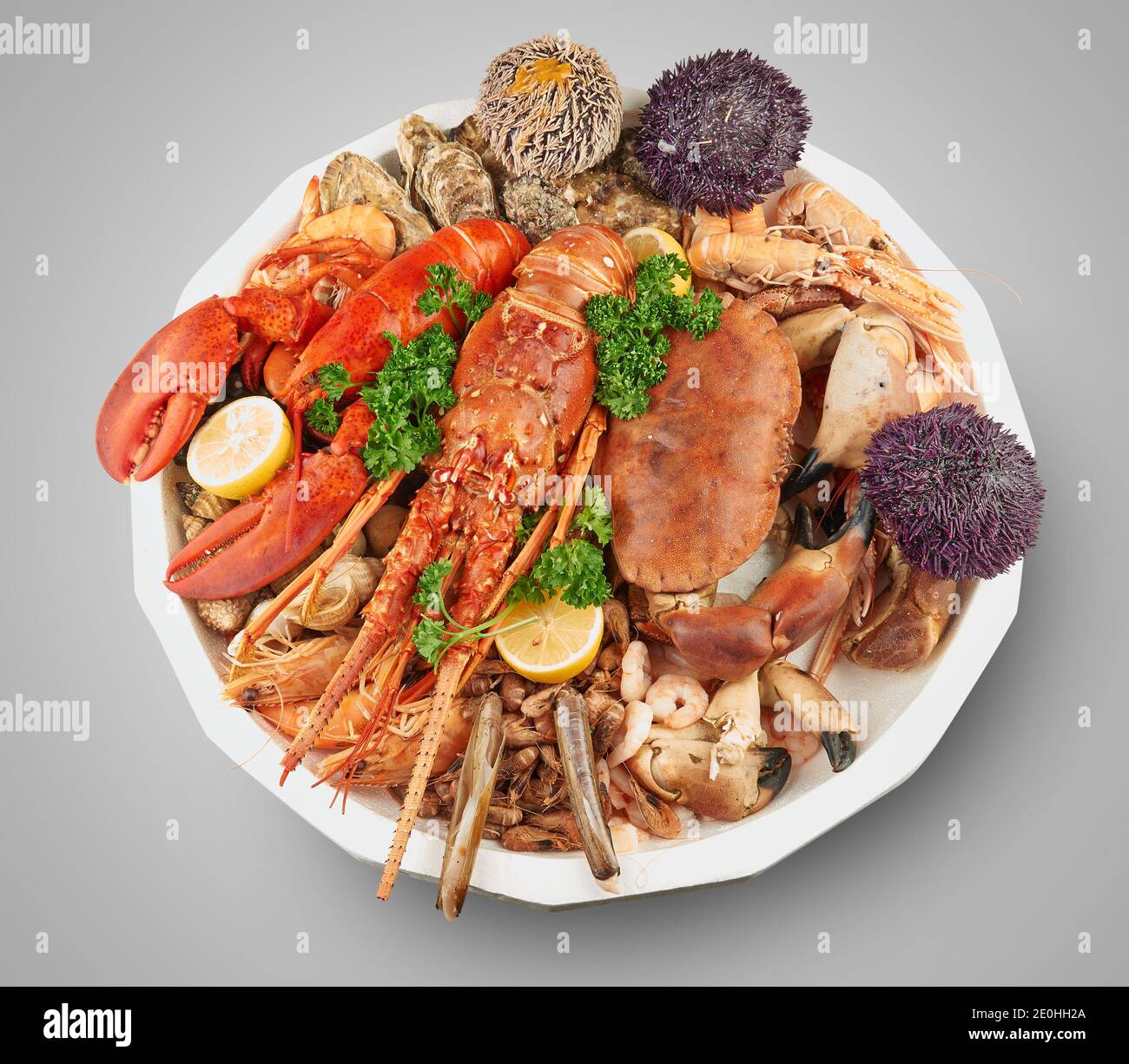 Big seafood platter on gradient background. View from above Stock Photo ...