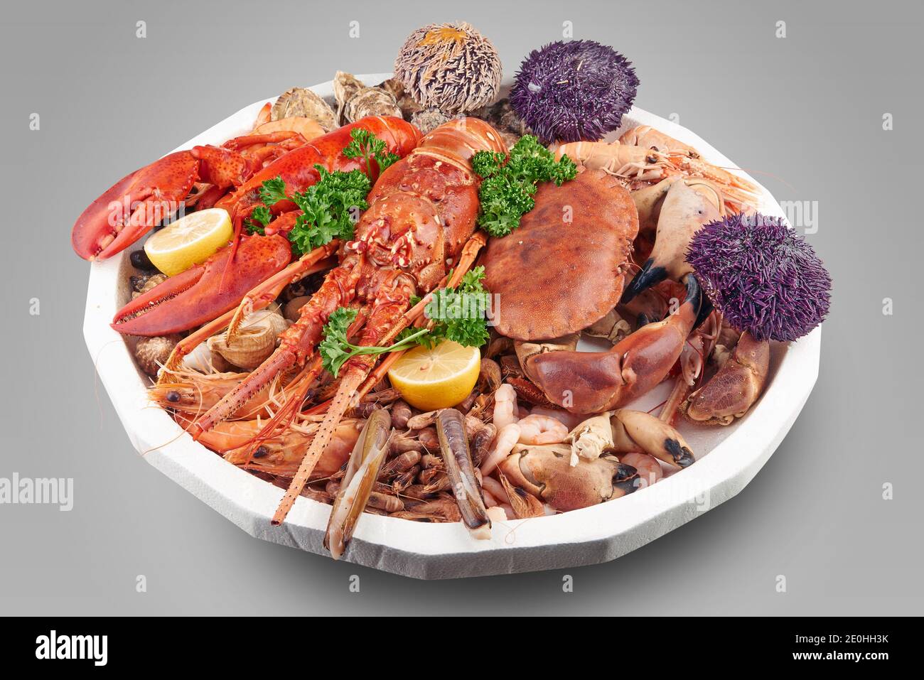 Big seafood platter on gradient background. View in perspective from ...