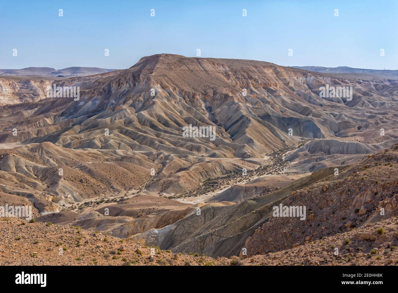 Negev region hi-res stock photography and images - Alamy