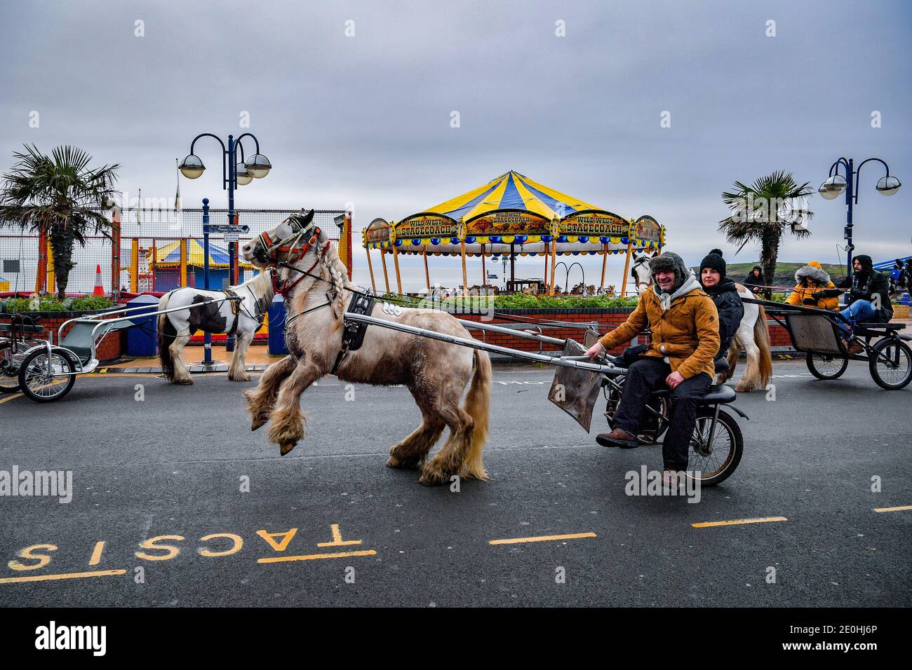 Pony traps hi-res stock photography and images - Alamy
