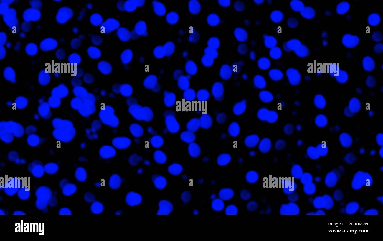 Abstract lights for texture, background, wallpaper, backdrop, banner ...