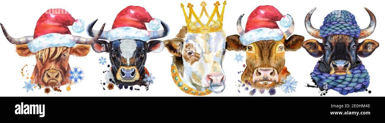 Cute border from watercolor portraits of bulls. For t-shirt graphics ...