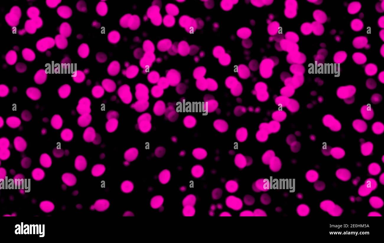 Abstract lights for texture, background, wallpaper, backdrop, banner ...