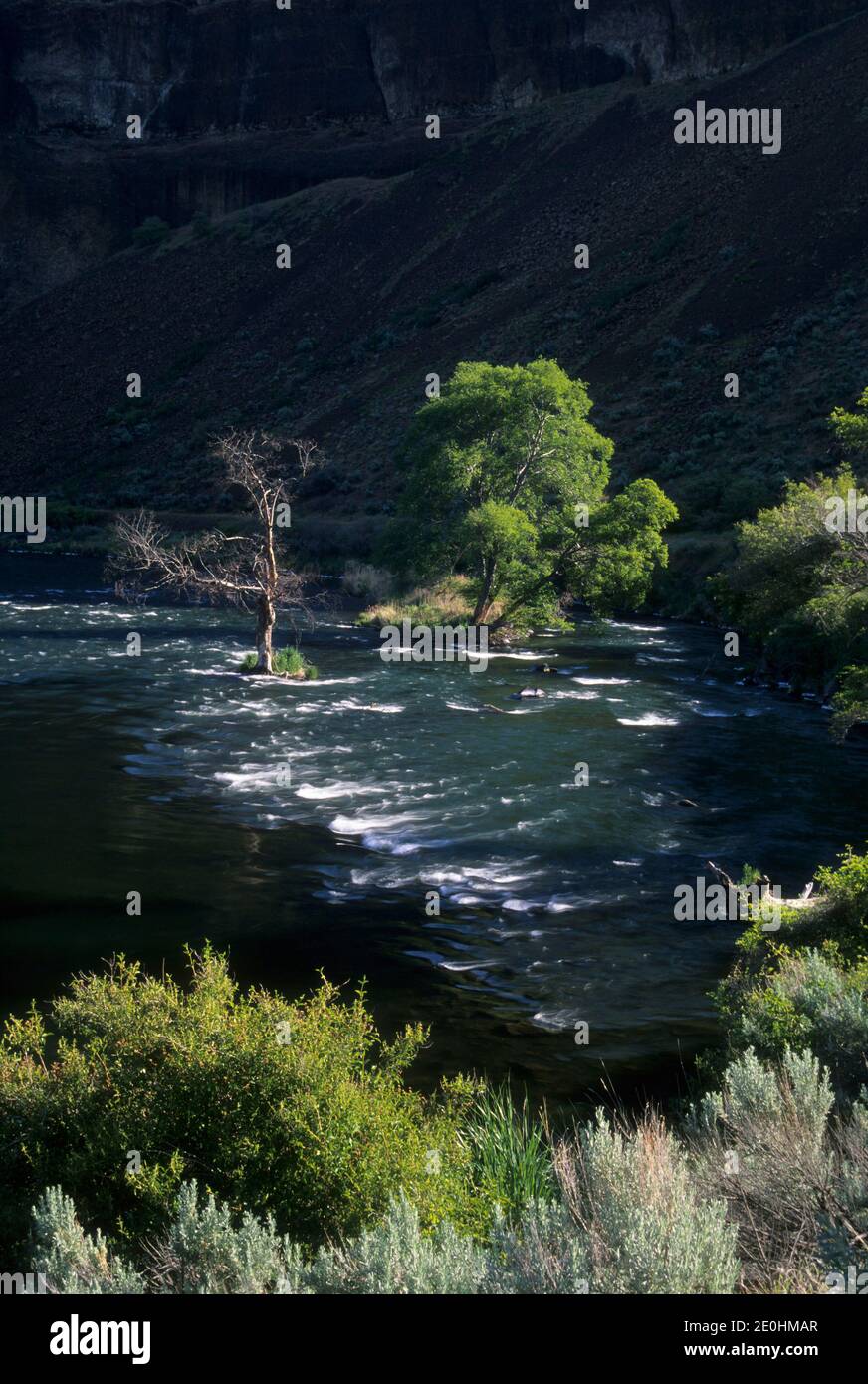 Maupin High Resolution Stock Photography and Images - Alamy