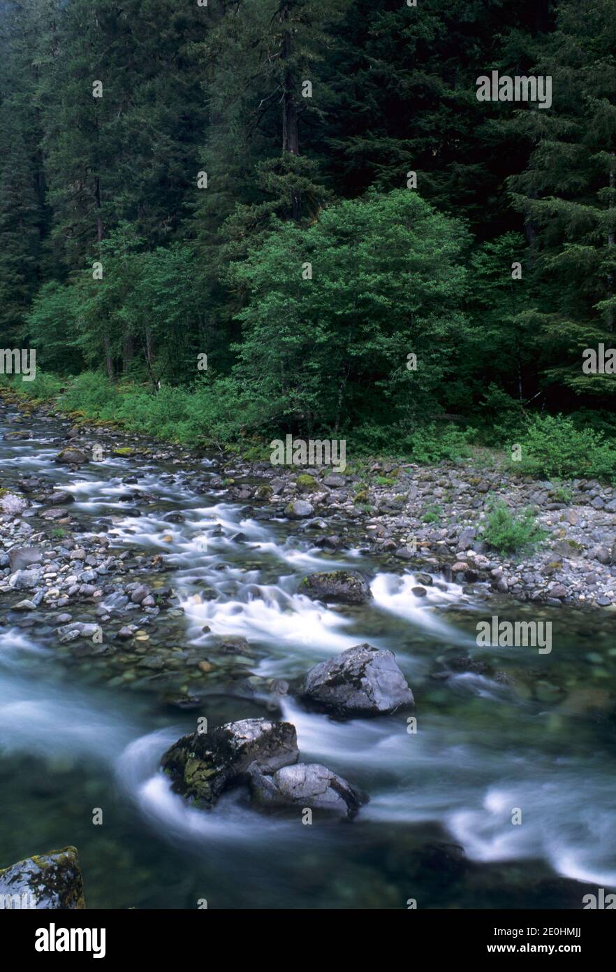 Quartzville Creek, Quartzville National Back Country Byway, Quartzville ...
