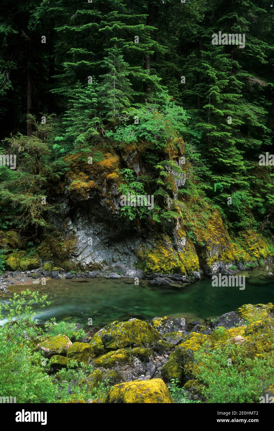 Quartzville creek national back country byway hi-res stock photography ...