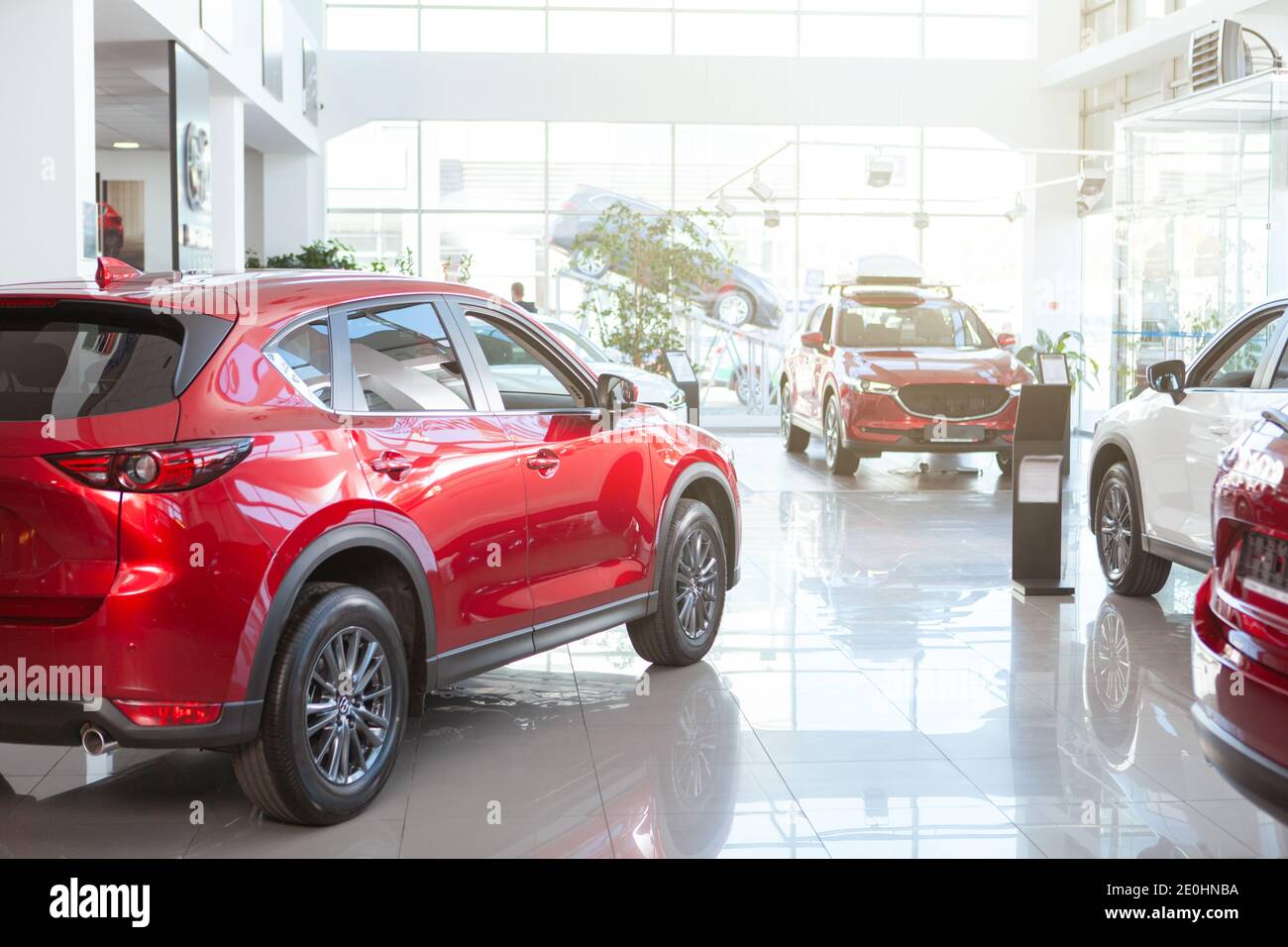 Beautiful modern cars on display at local dealership salon. Automobiles ...