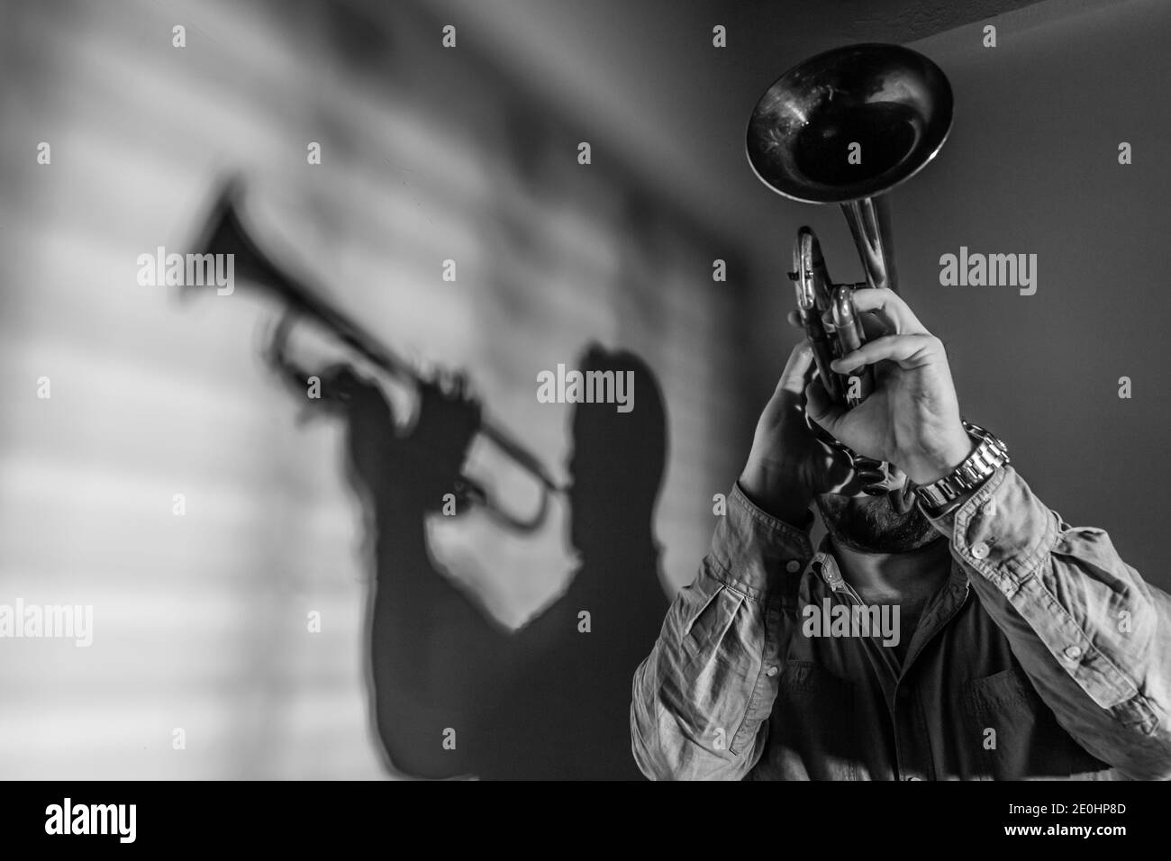 Musician Silhouette High Resolution Stock Photography and Images - Alamy