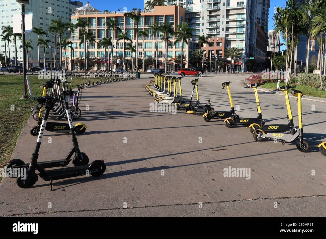 Miami, Florida - 12-27-2020 - Rental scooters lined up and ready for ...