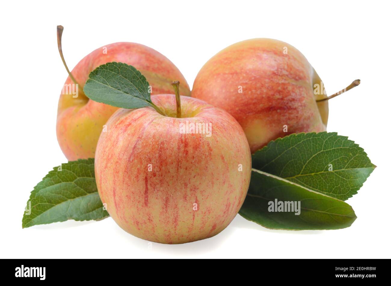 fruits of apples on a white background, blank for your photo ...