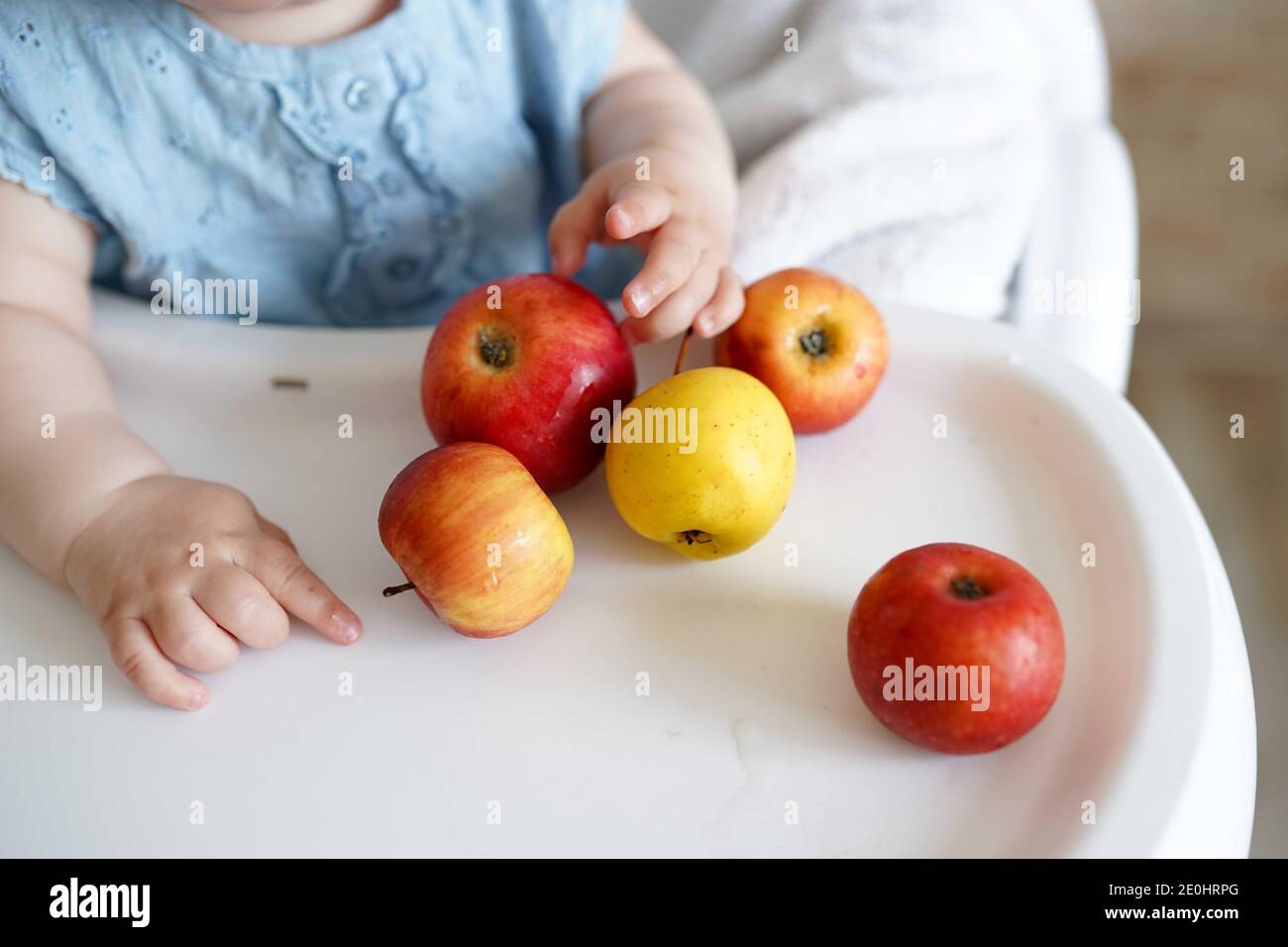 Baby eating fruit. yellow and red apples in little girl's hands in ...