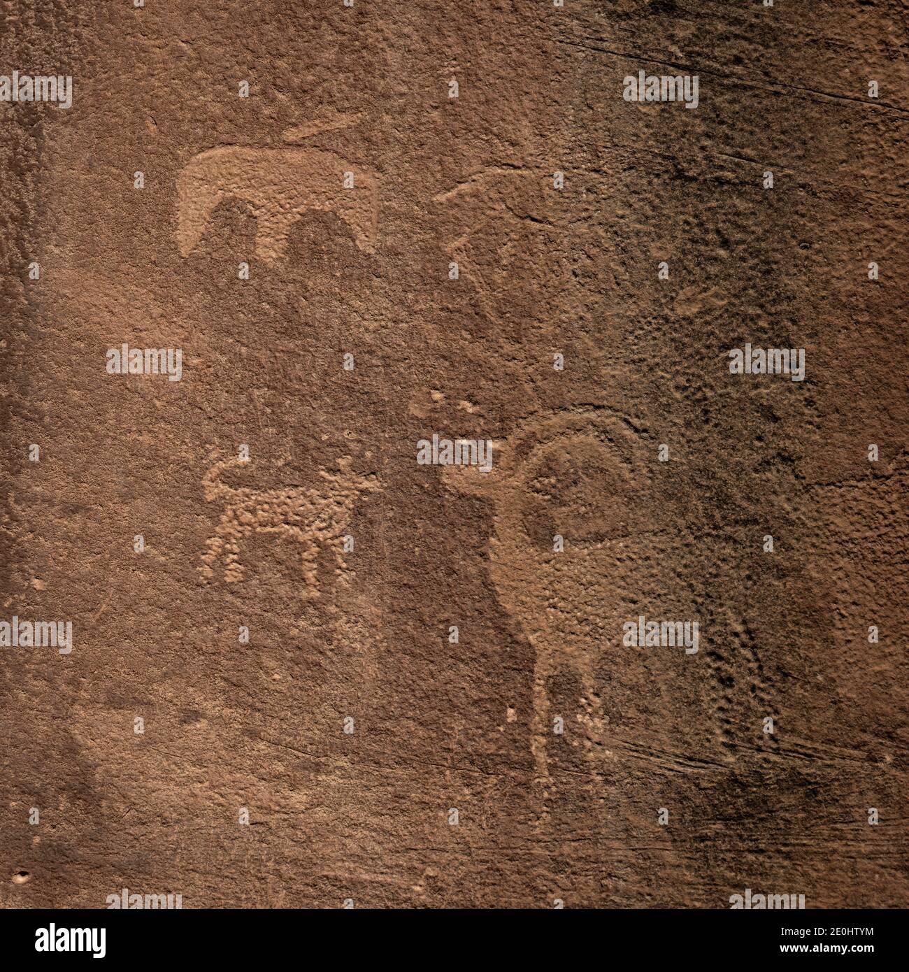 Petroglyph bear hi-res stock photography and images - Alamy
